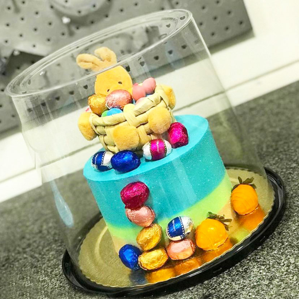 Domo Pastel Redodo Alto 23x23cm Negro, Pieza – El Mundo de la Repostería